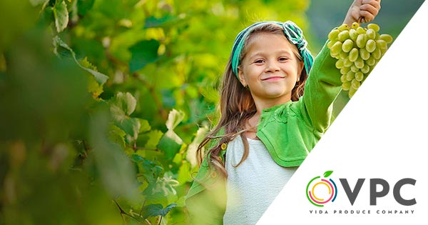 VPC - Vida Produce Company